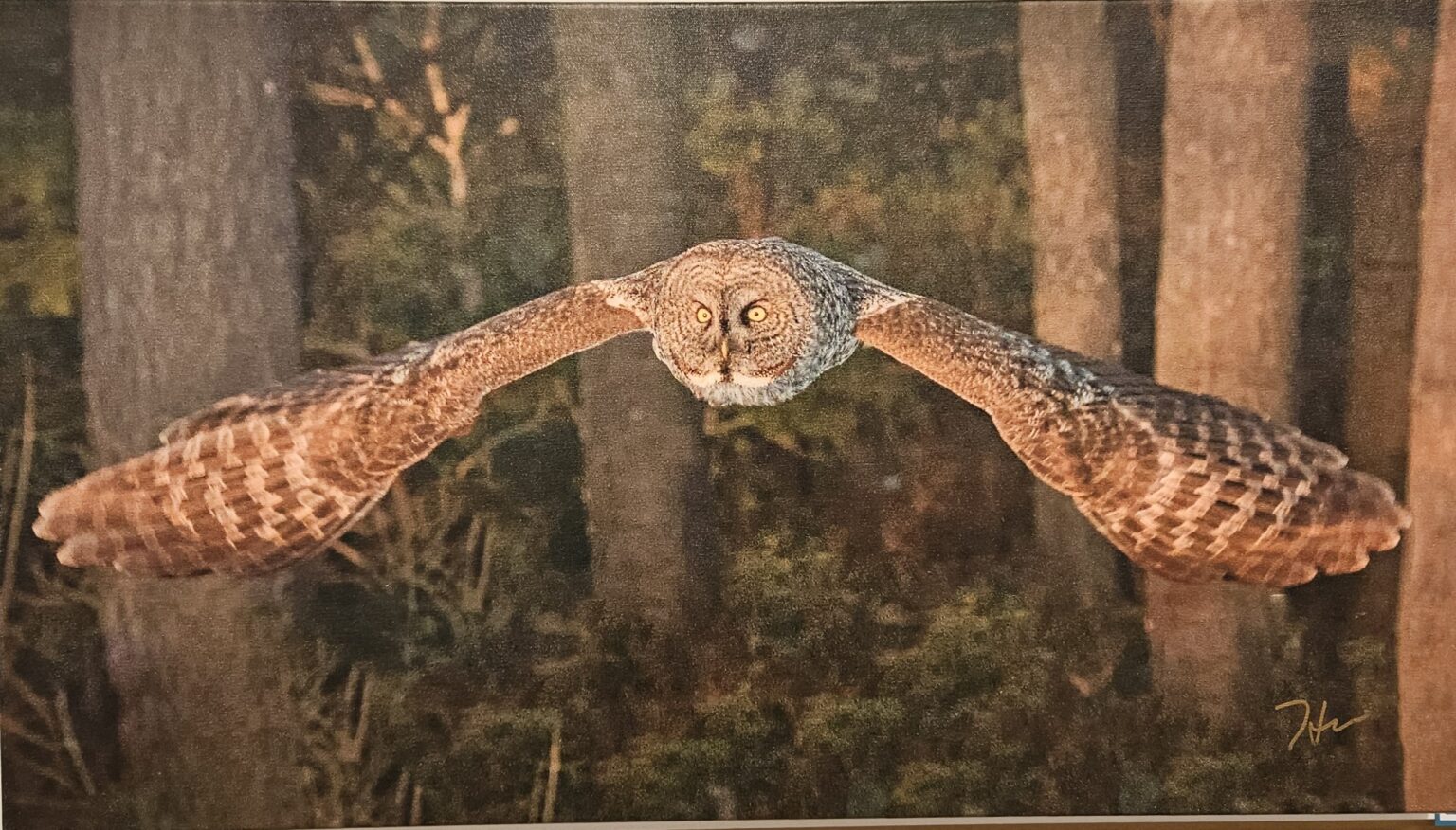 Photographer Howard S Muscott – Presentation – Nashua Area Artists ...